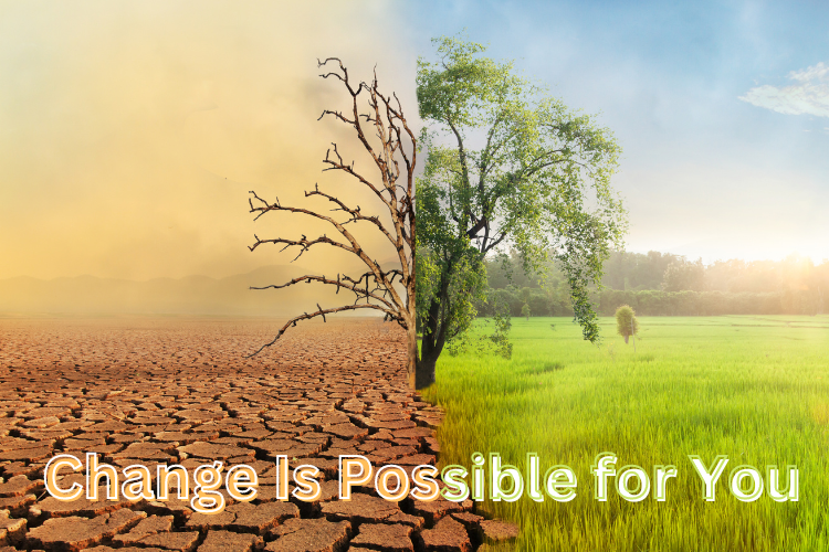 Resources – BIBLICAL CHANGE.NET